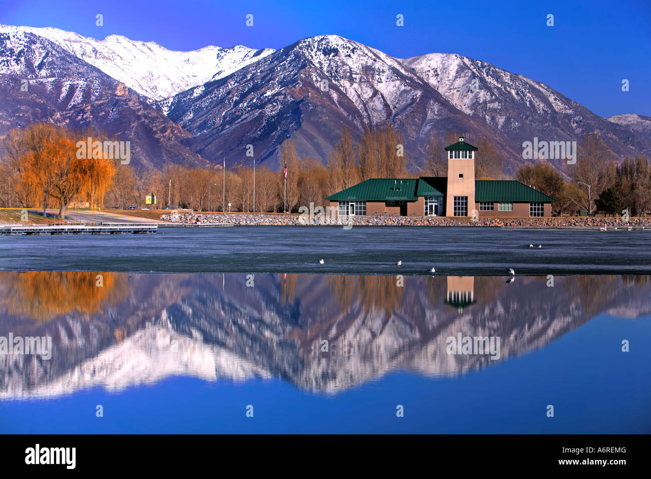 Utah State Boat Harbor hi contrast mountain lake and seagull birds on ...