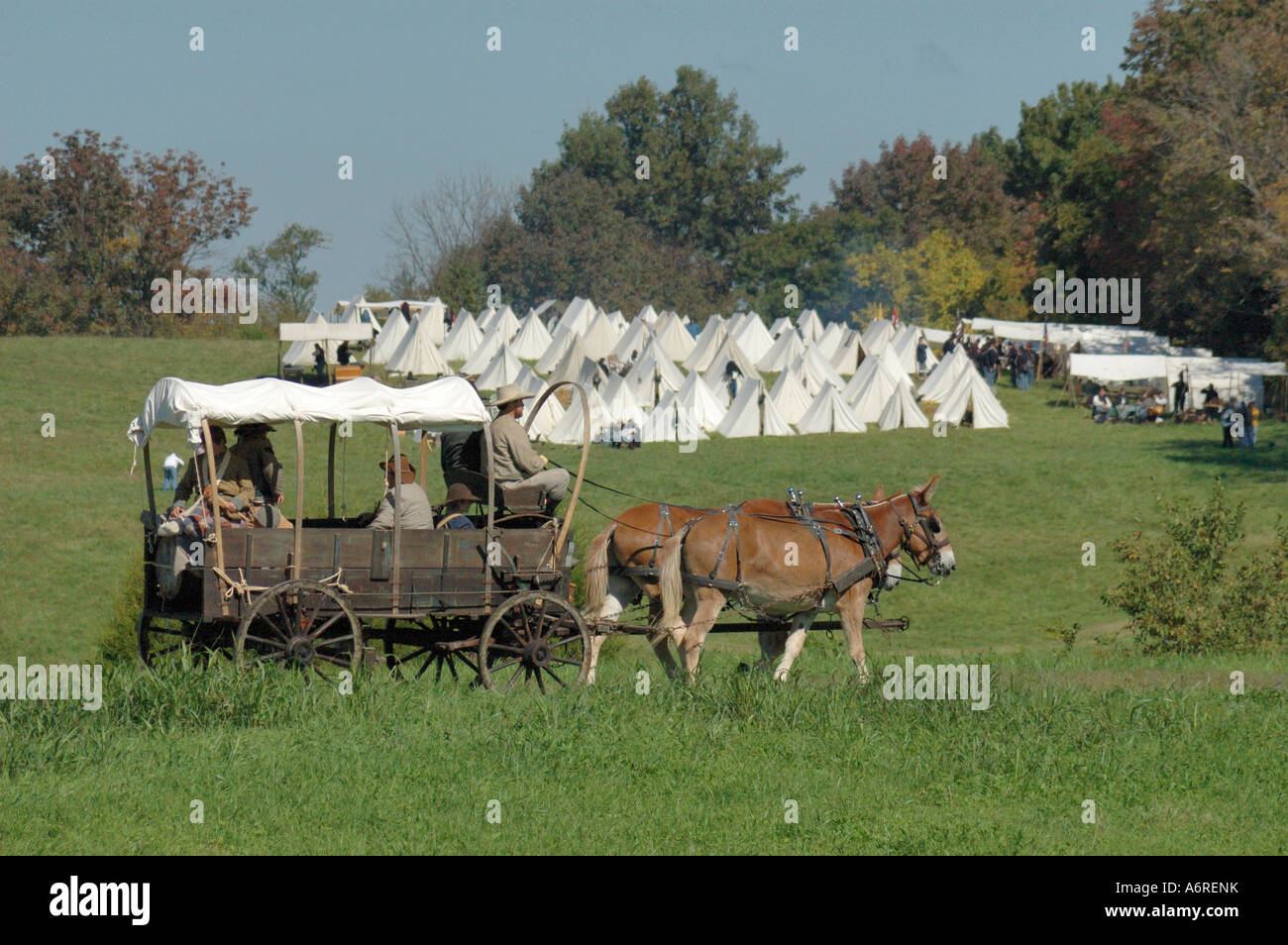 Mule drawn wagon at the 2006 National Civil War Re enactment of the ...