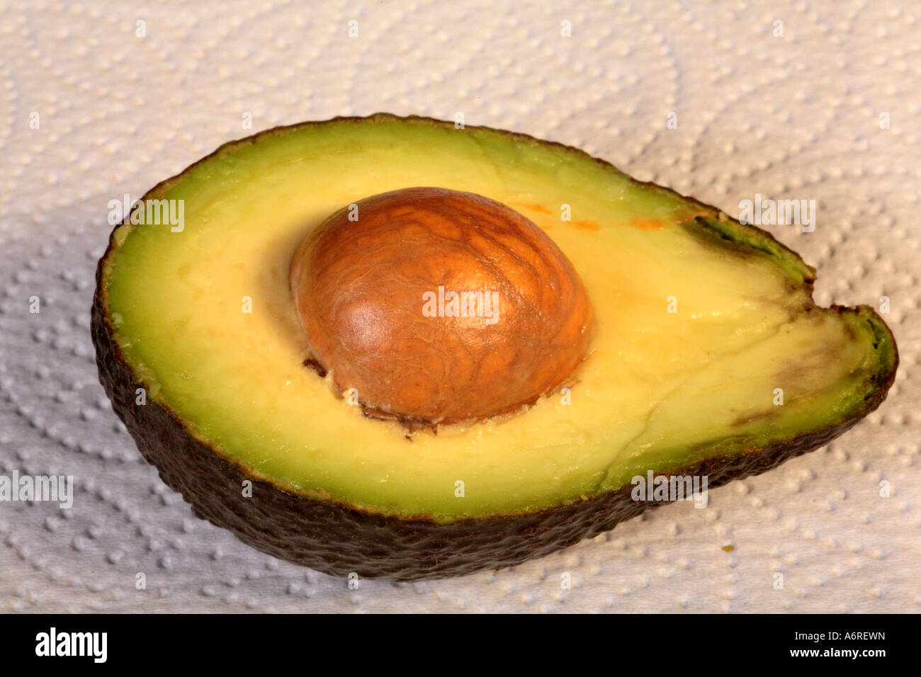 Avacado with stone Stock Photo - Alamy