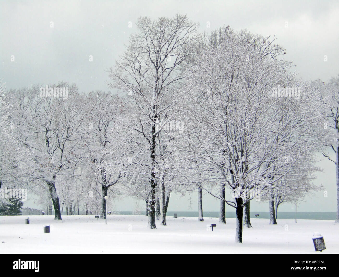 Winter scene after a wet snowfall Michigan Stock Photo - Alamy