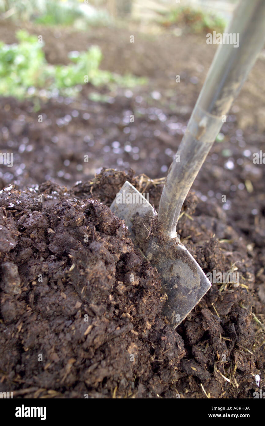 Horse manure spade hi-res stock photography and images - Alamy