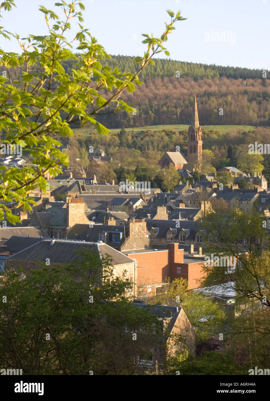 Galashiels walk hi-res stock photography and images - Alamy