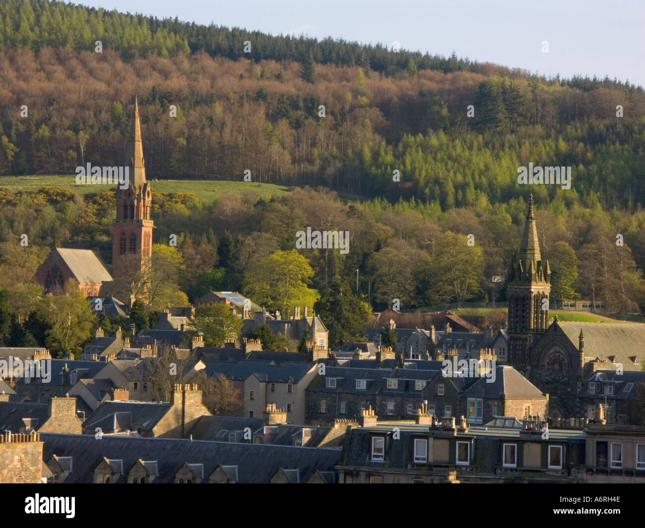 Galashiels walk hi-res stock photography and images - Alamy
