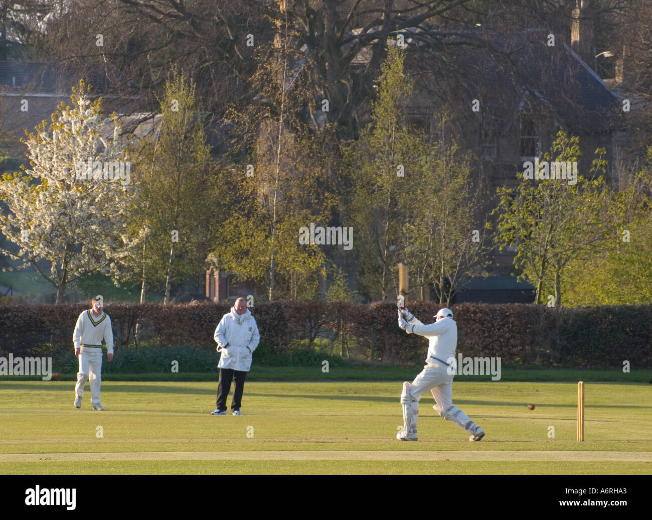 Cricket scotland hi-res stock photography and images - Alamy