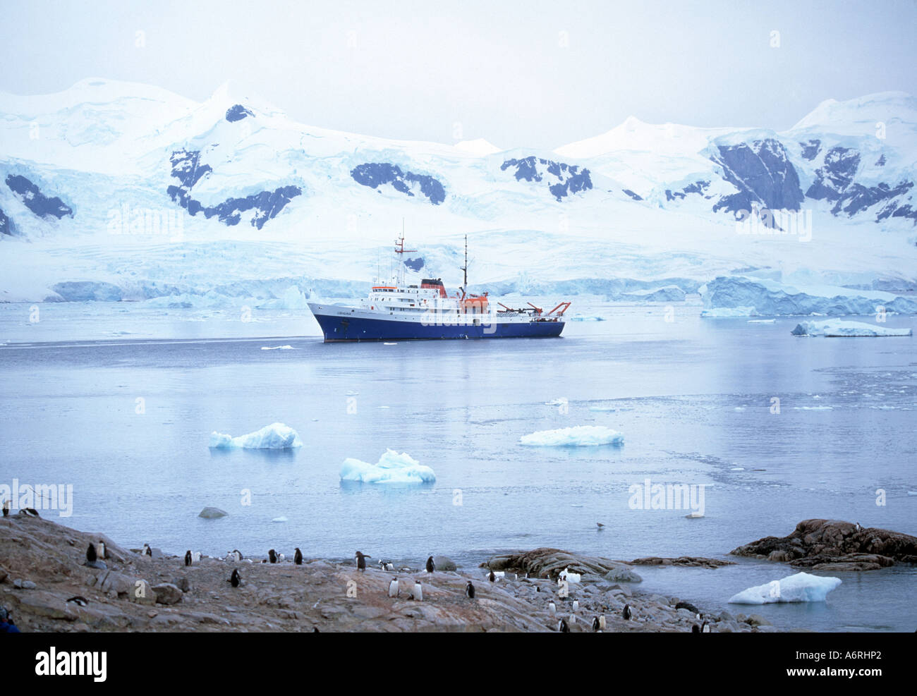 antarctic, antarctica, ice continent, frozen continent, cold continent ...