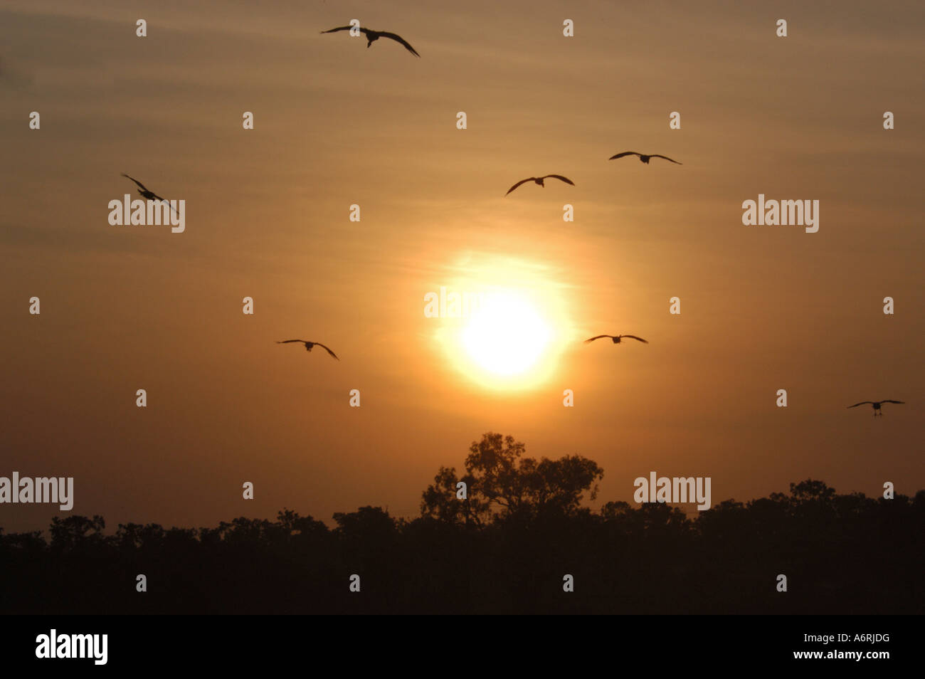 Katherine nt hi-res stock photography and images - Alamy