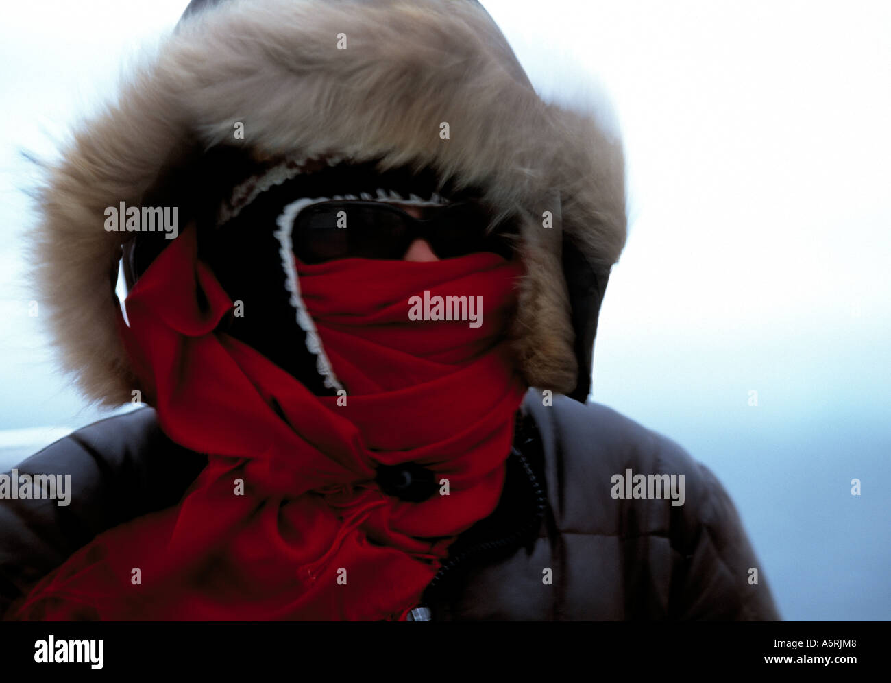 antartic, antartica, ice continent, frozen continent, southern ...