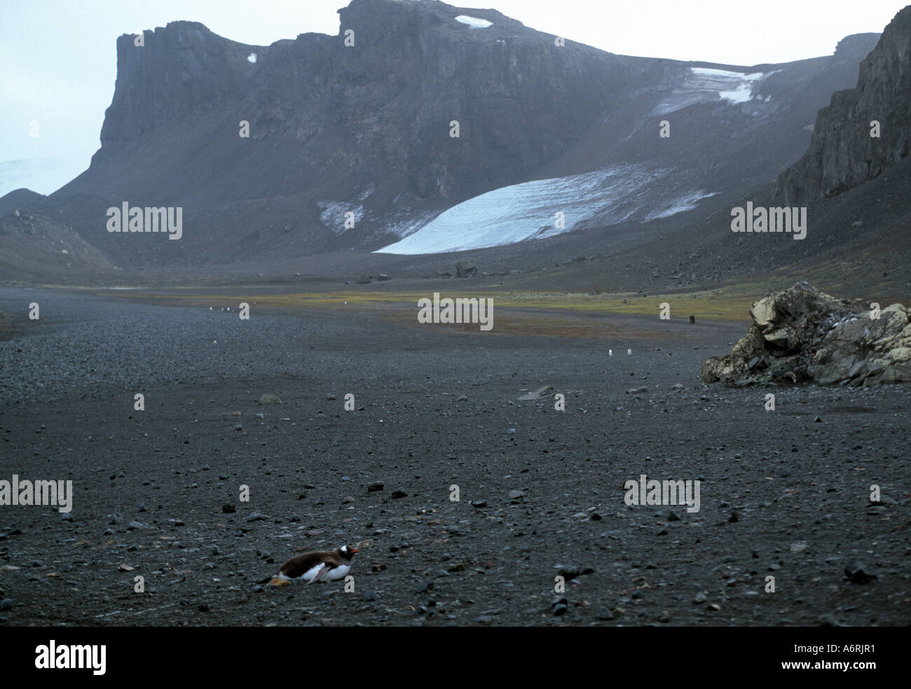 Antarctic coastal geology hi-res stock photography and images - Alamy