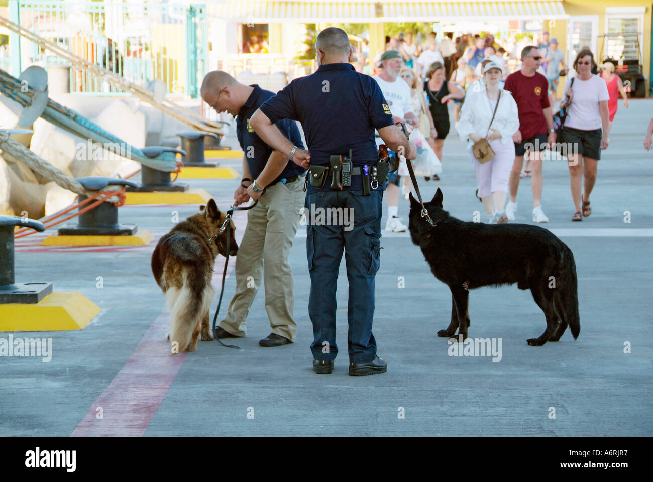 Police sniffing dogs guard hi-res stock photography and images - Alamy