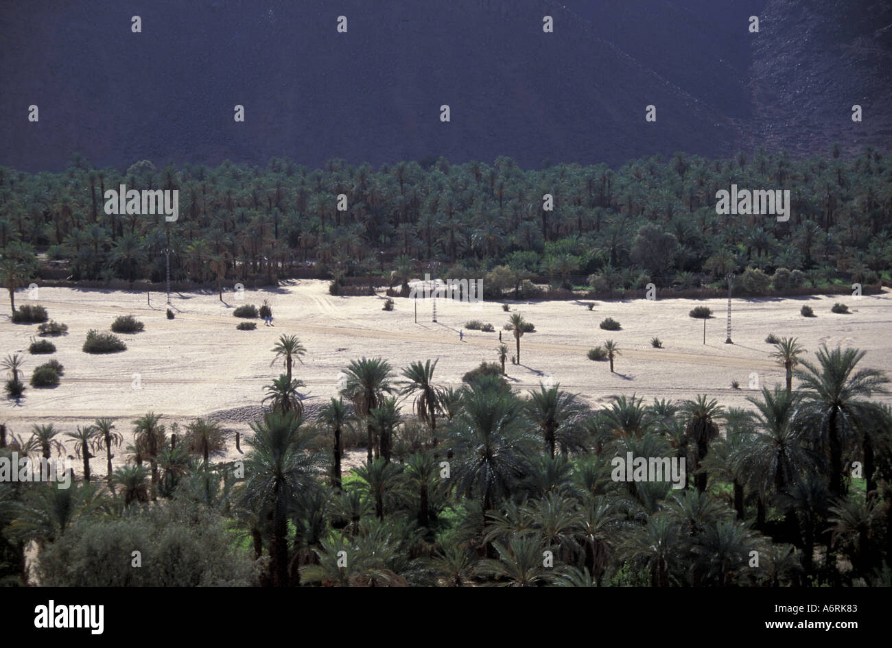 Africa, Algeria, Djanet. Oasis Stock Photo - Alamy