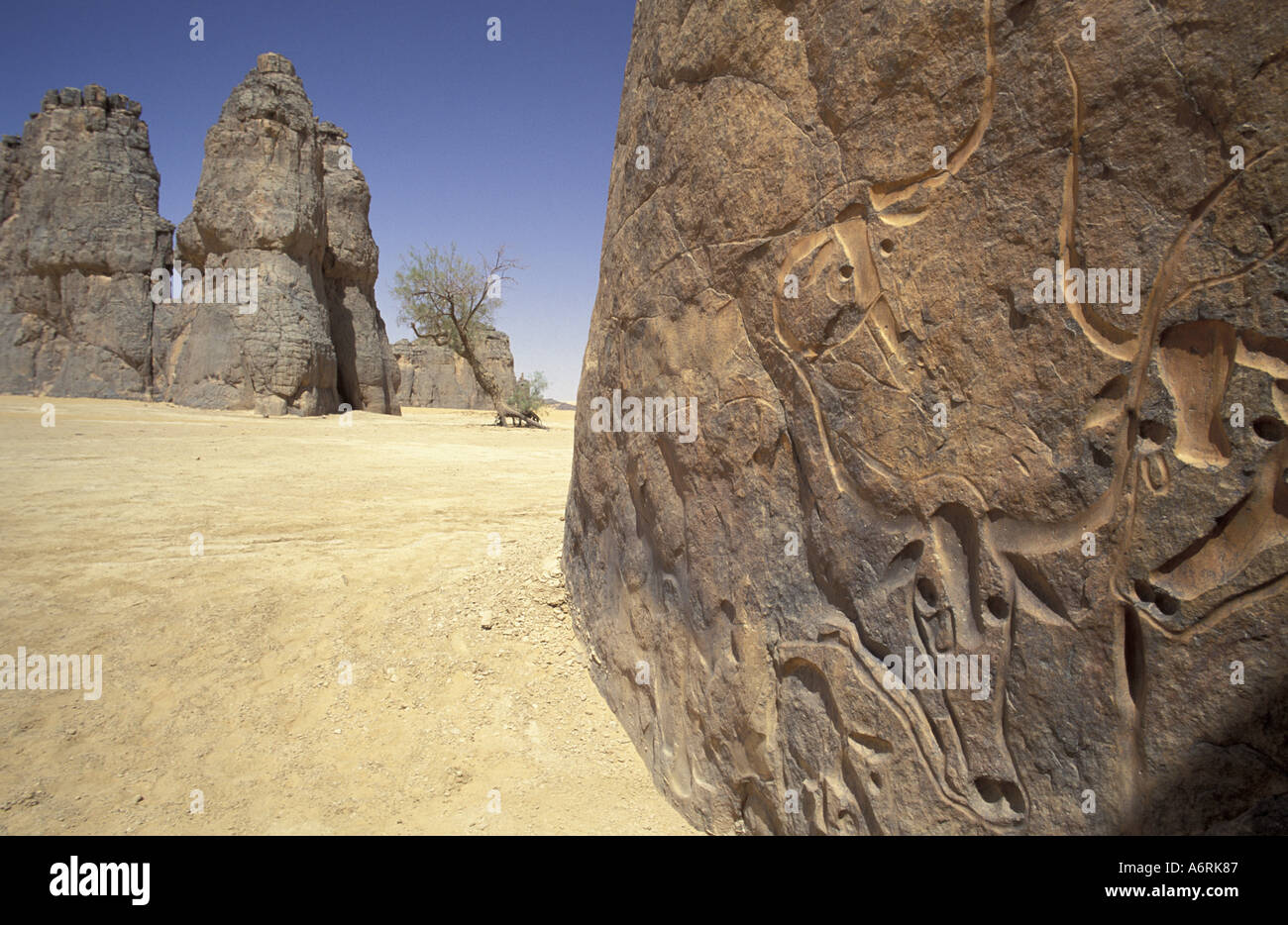 Africa, Algeria, Sahara, Terarart. Crying Cow, carved stone in desert ...