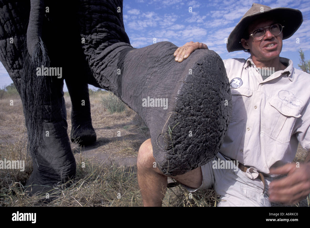 Africa, Botswana, Okavango Delta, Maun. Guide shows the details of ...