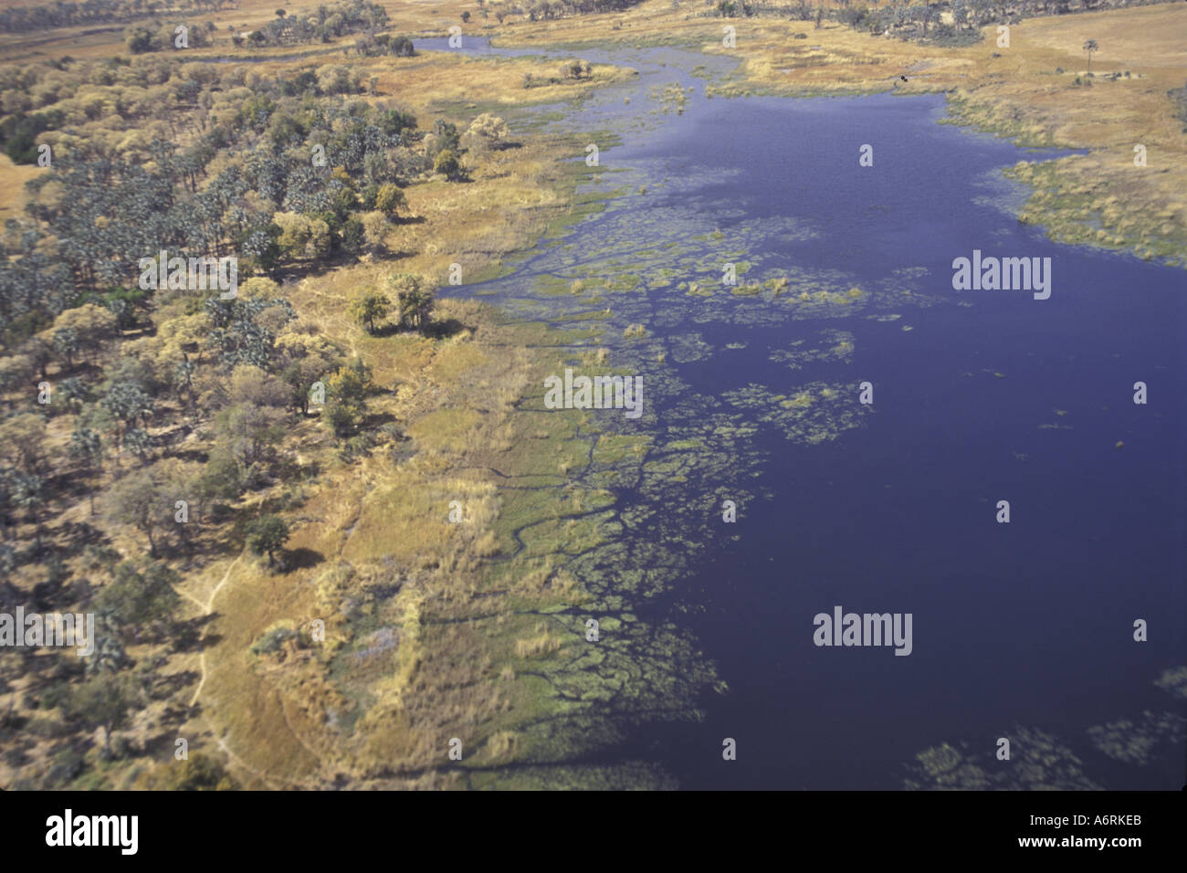 Waterscape botswana okavango delta hi-res stock photography and images ...