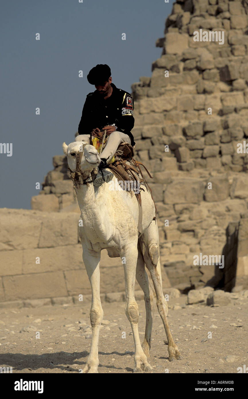 Egypt, Giza, Tourist police officer on camel, Pyramids Complex, Giza ...
