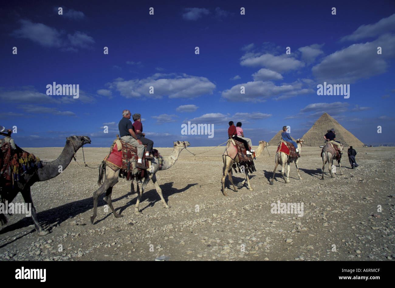 Egypt, Giza Camel ride to pyramids Stock Photo - Alamy