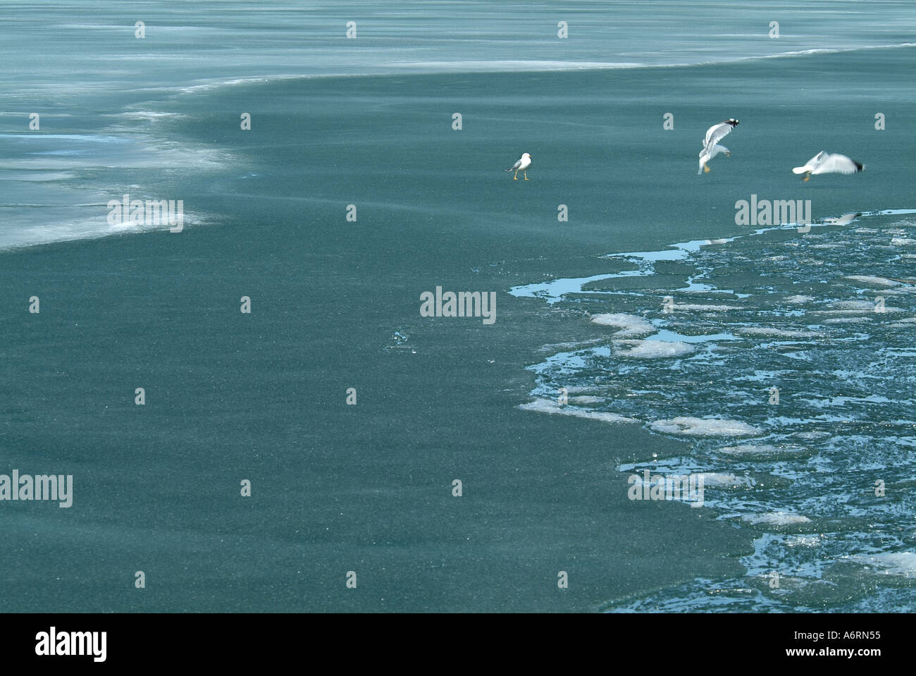 The melting water Stock Photo - Alamy