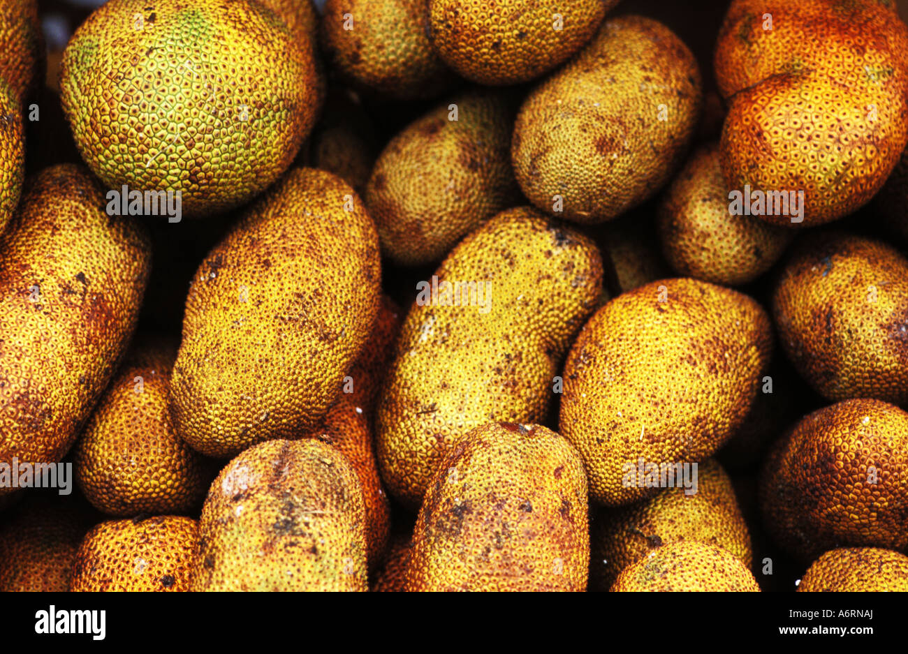 Kariman hi-res stock photography and images - Alamy