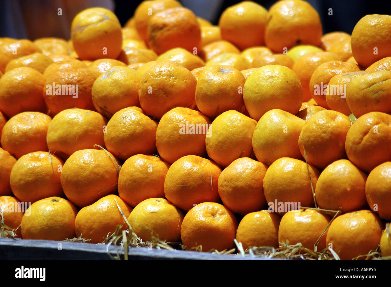 ASB77357 Fresh orange fruit being sold on handcart in old city of ...