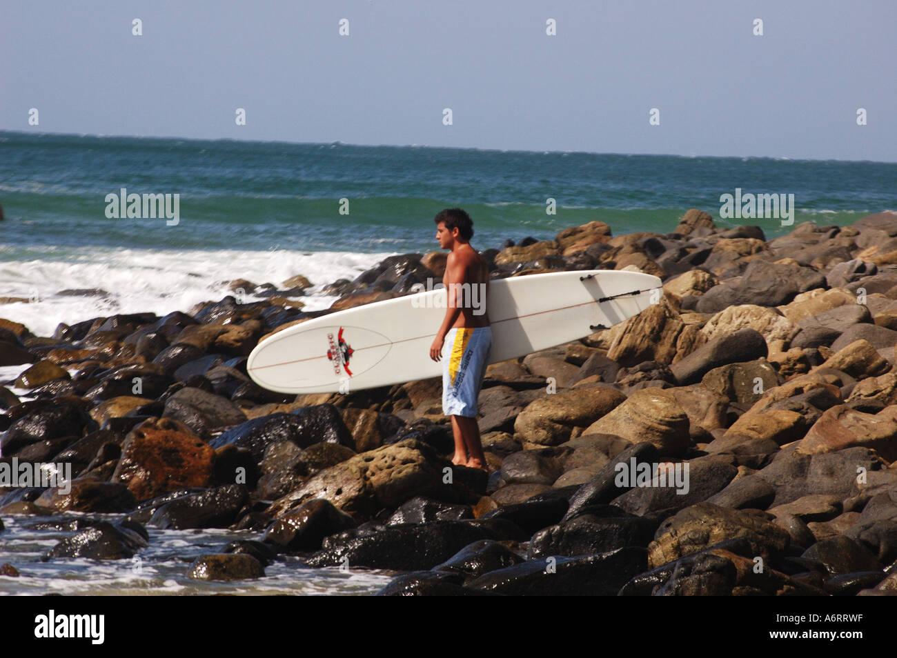 classic Noosa longboard surfer Stock Photo - Alamy