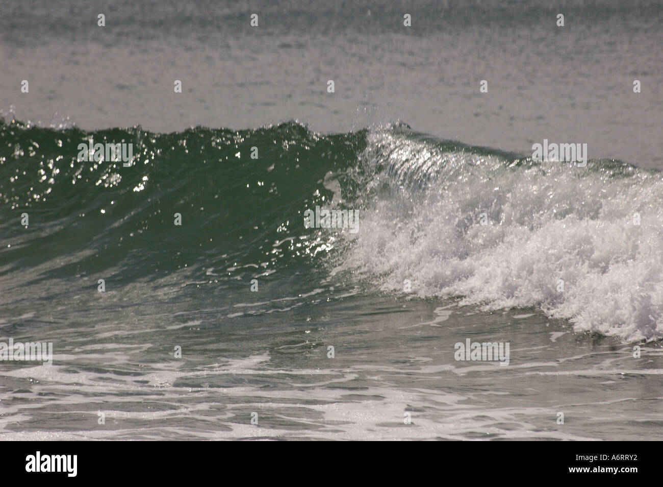small wave breaks on beach Queensland Australia Stock Photo - Alamy