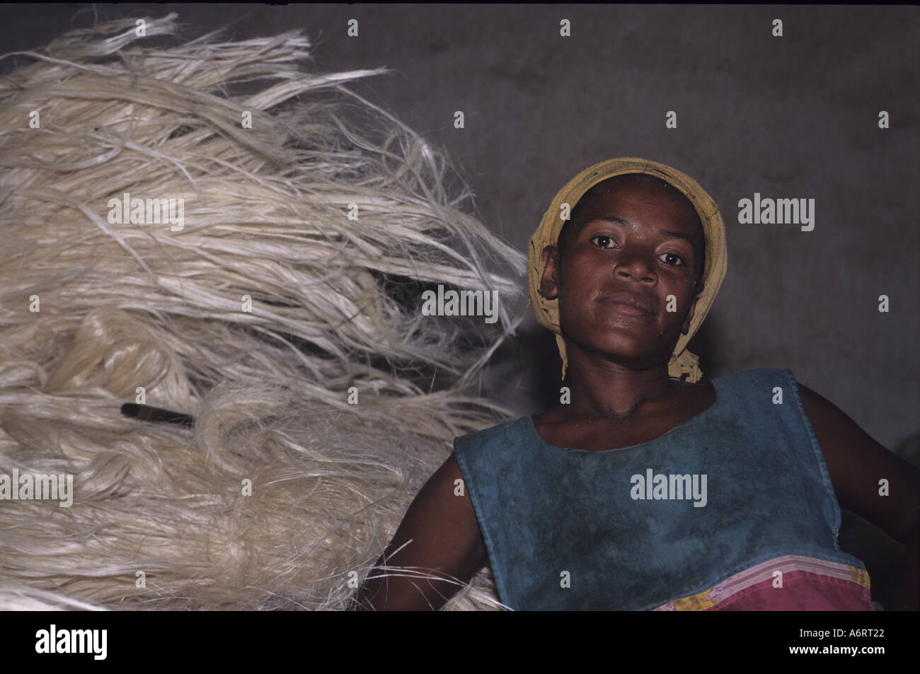 Sisal industry hi-res stock photography and images - Alamy