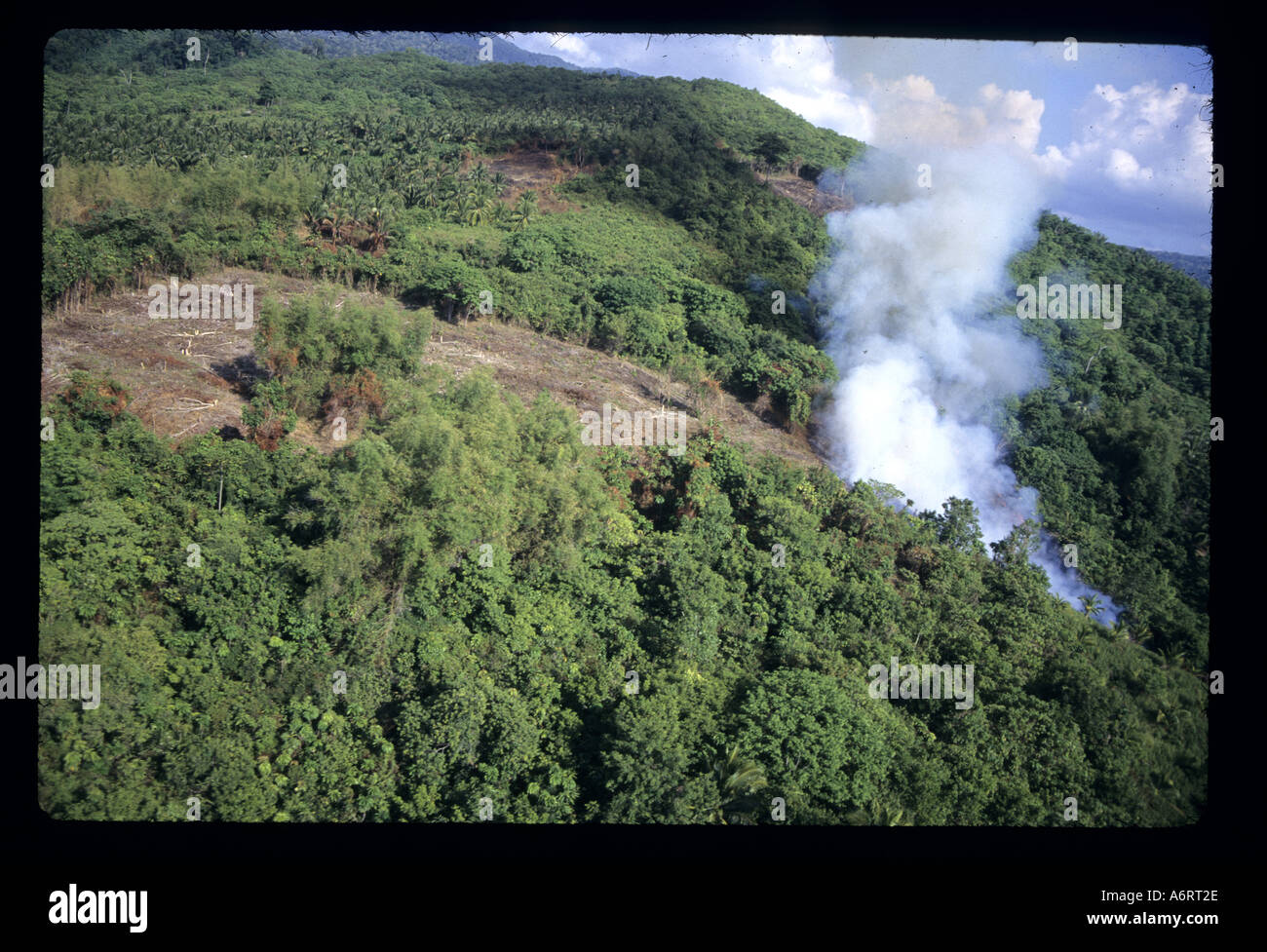 Slash and burn africa hi-res stock photography and images - Alamy