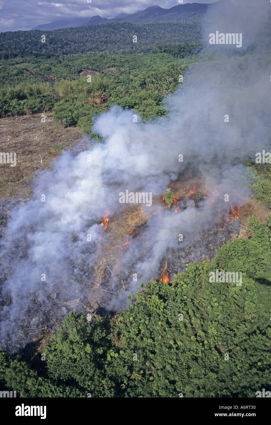 Slash and Burn Destruction in the Philippines Stock Photo - Alamy