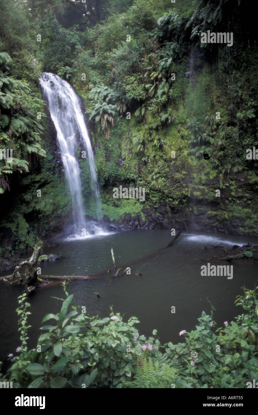 Africa, Madagascar, Amber National Park, waterfall scenic Stock Photo ...