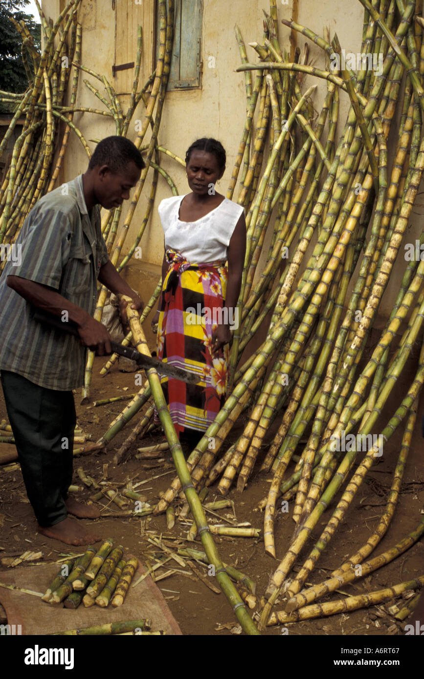 Africa, Madagascar, Nosy Be. Market and sugar cane Stock Photo - Alamy