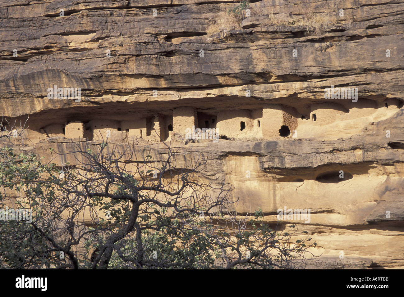 Africa, Mali, Dogon Region. Ancient Tehillem ruins in cliffs above ...