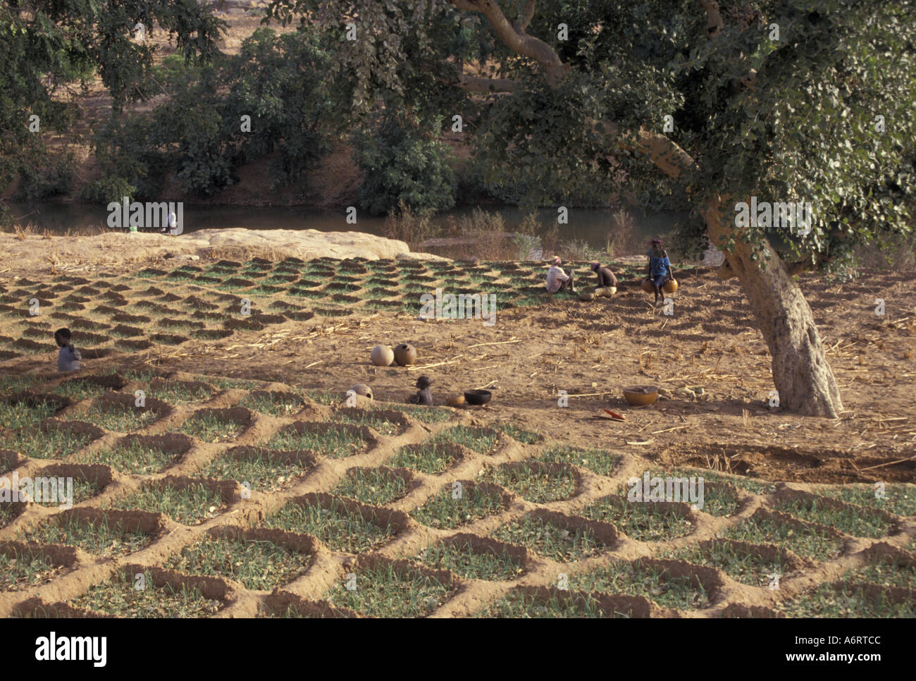 Mali dogon hi-res stock photography and images - Alamy