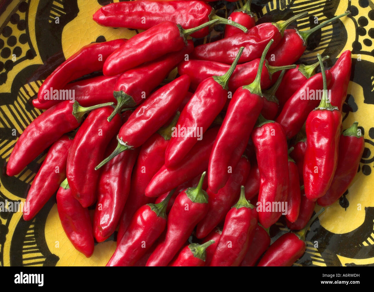 Chilli peppers on a plate variety Apache F1 hybrid Stock Photo - Alamy