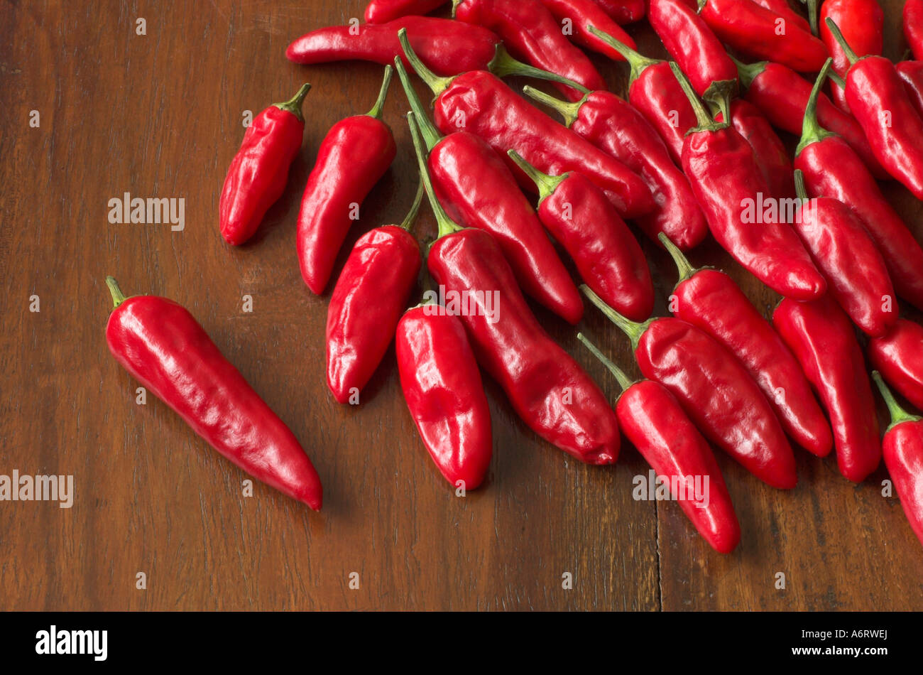 Chilli peppers on a table variety Apache F1 hybrid Stock Photo - Alamy