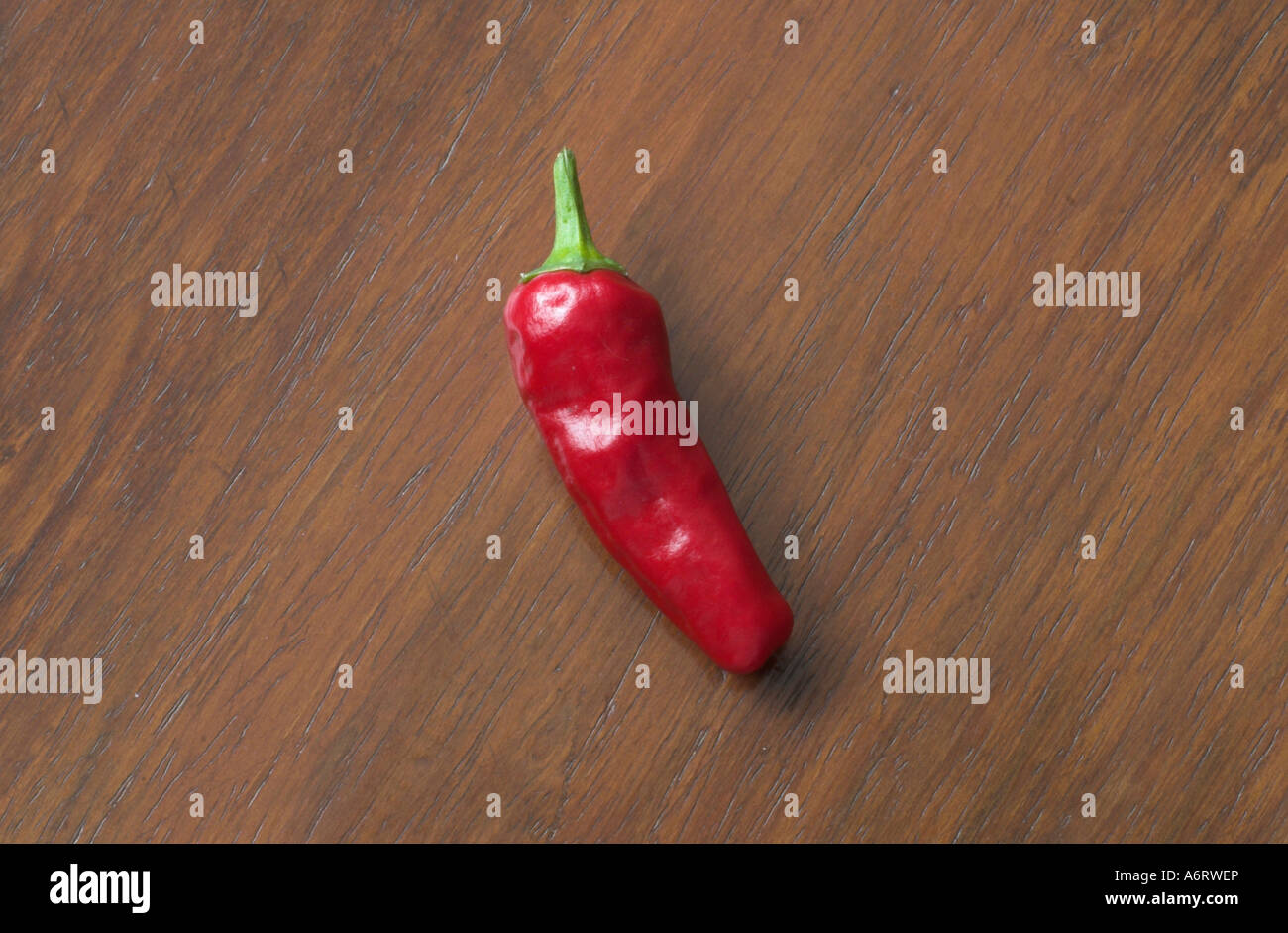 Single Chilli pepper variety Apache F1 hybrid Stock Photo - Alamy