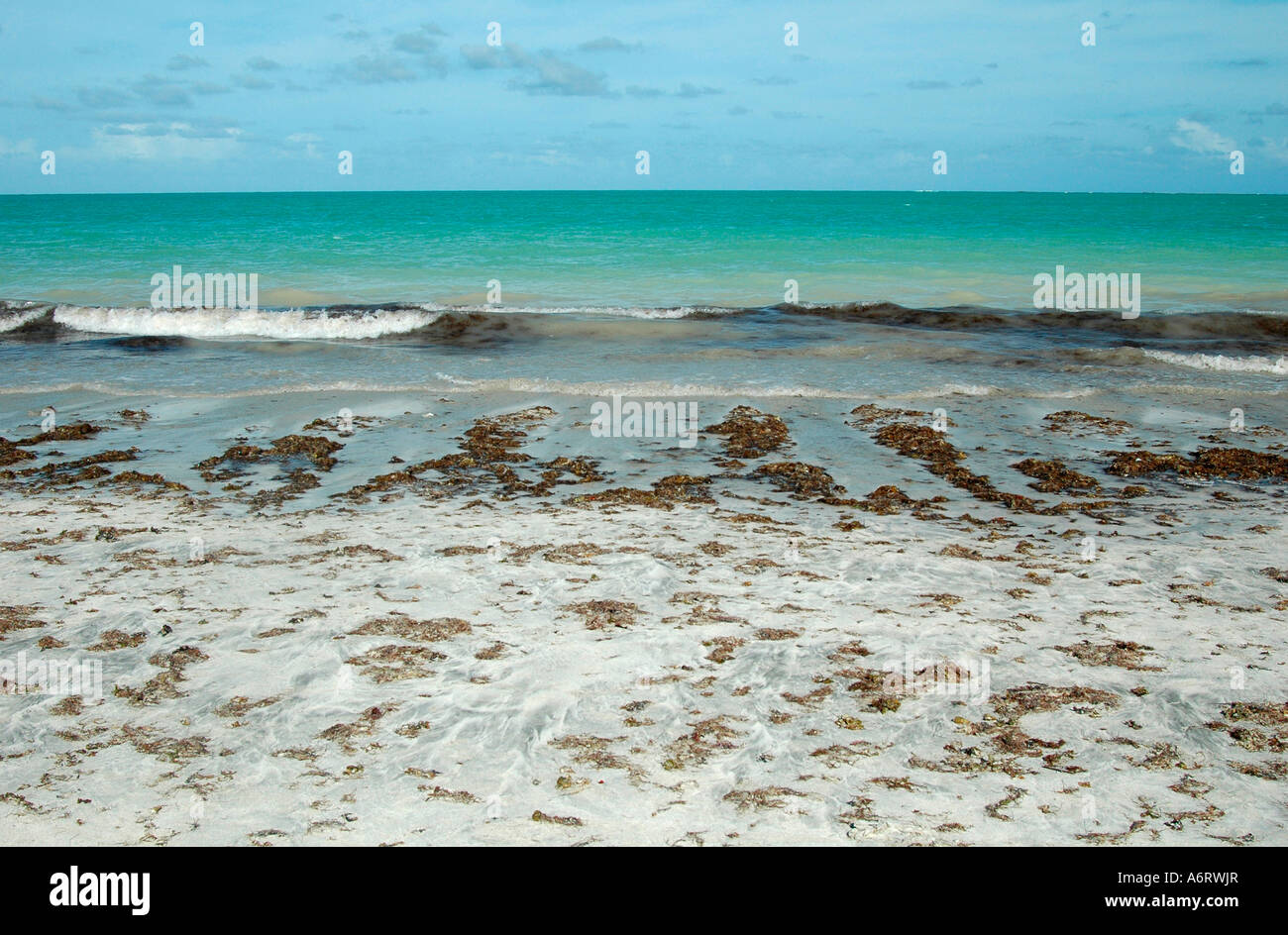 Ilha de itamaraca brazil hi-res stock photography and images - Alamy