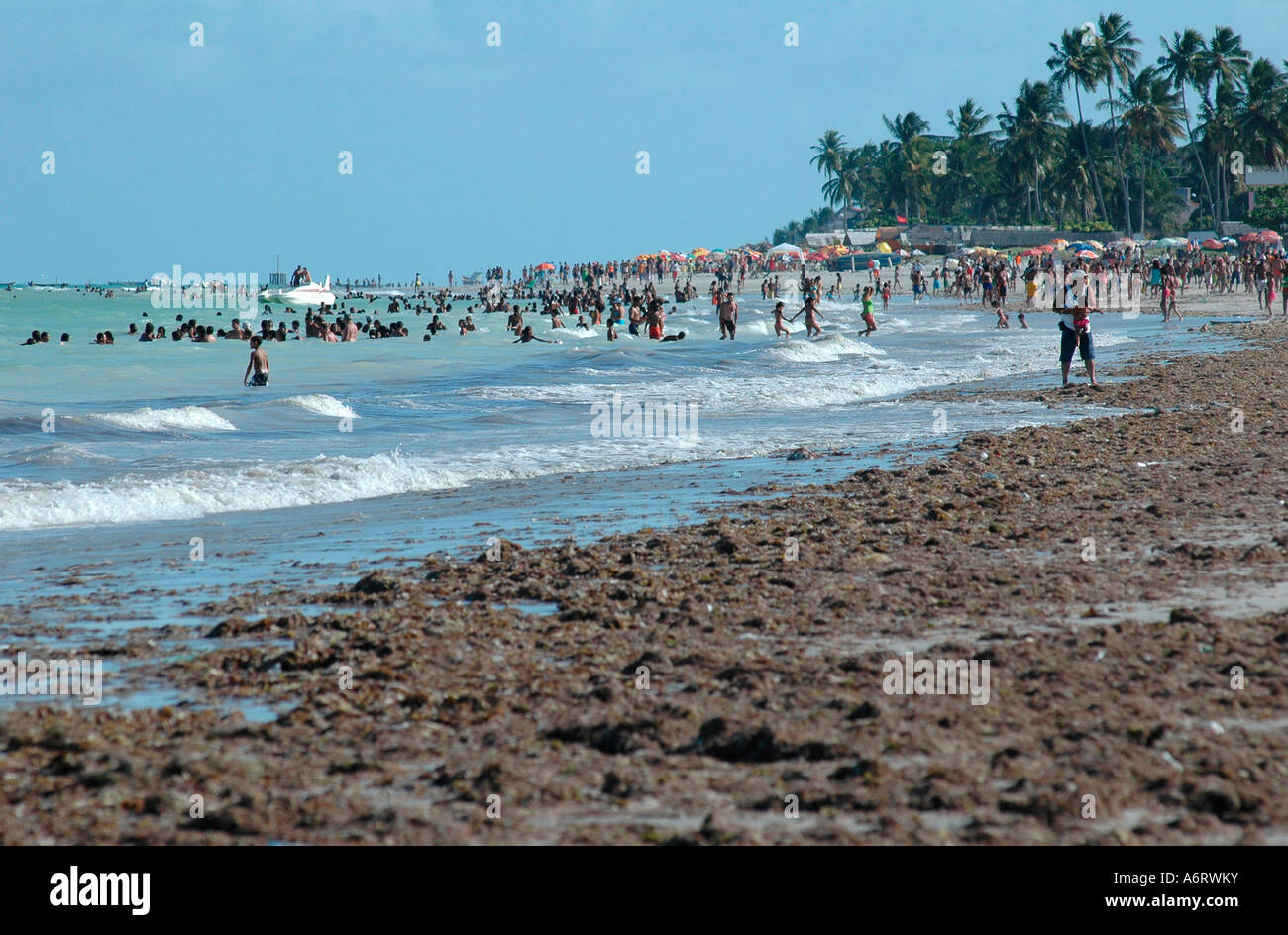Ilha de itamaraca brazil hi-res stock photography and images - Alamy