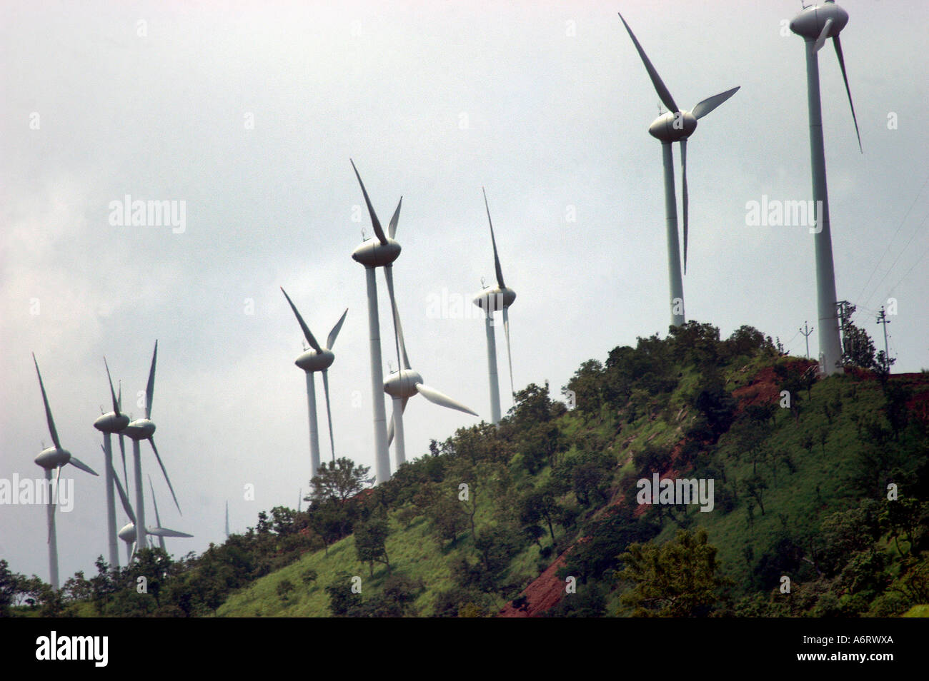 Windmill farm, wind power, wind energy, wind turbines, windpumps ...