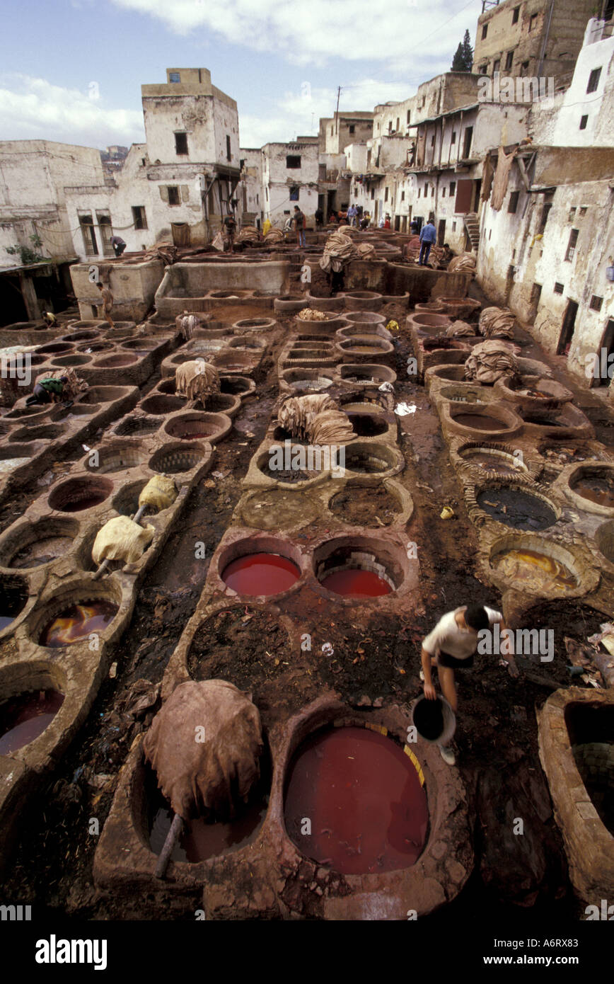 Africa, Morocco, Fes, Fes el-Bali medina, Tannery vats where leather is ...