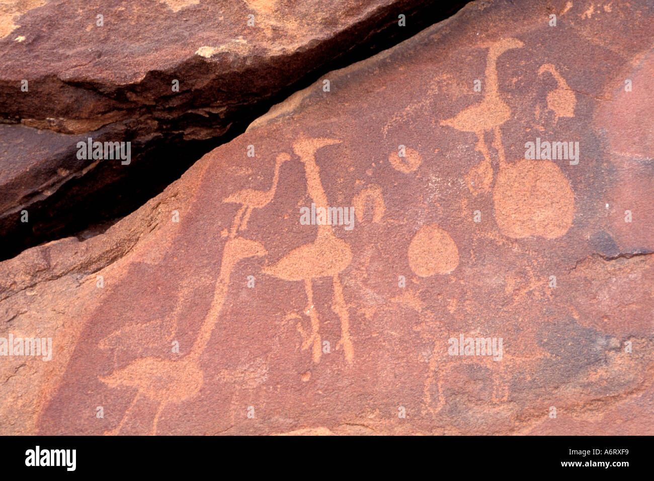 Africa, Namibia, Twyfelfonstein Region, Pictograph; engravings from ...
