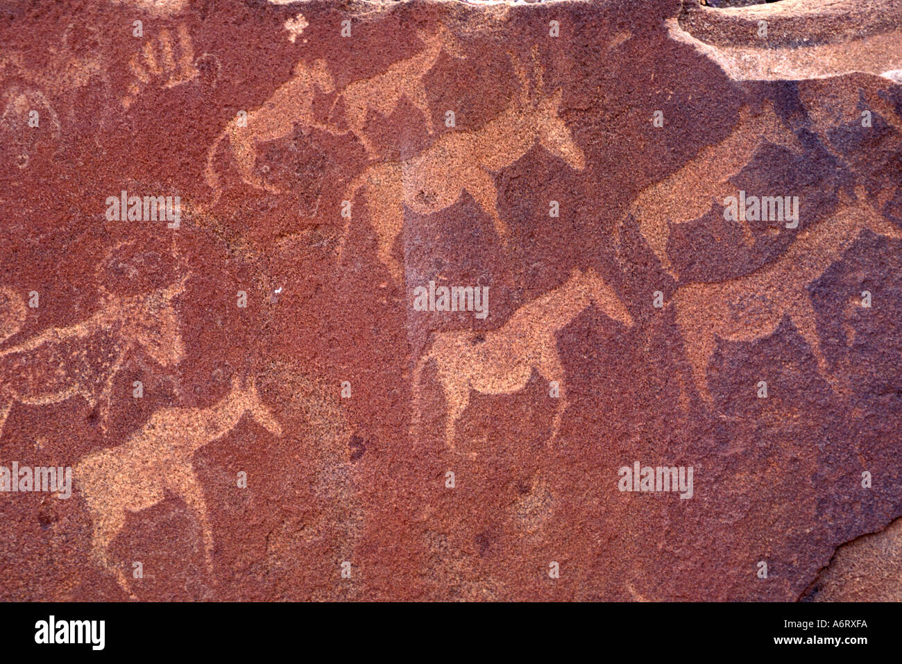 Africa, Namibia, Twyfelfonstein Region, Pictographs: engravings from ...