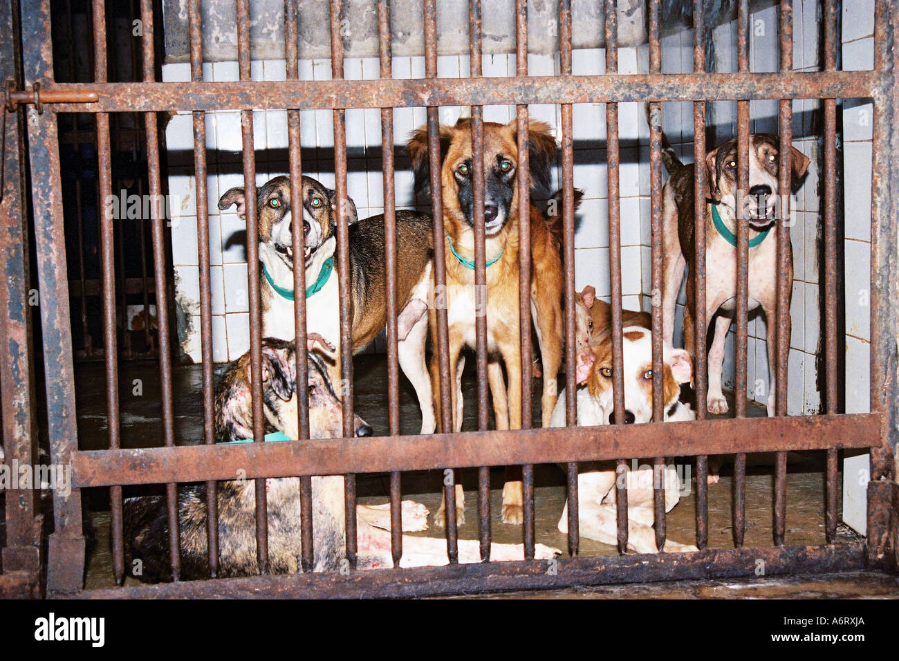 Asb77282 hi-res stock photography and images - Alamy