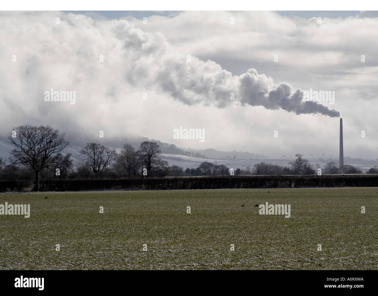 Westbury Cement Works Chimney Stock Photo - Alamy