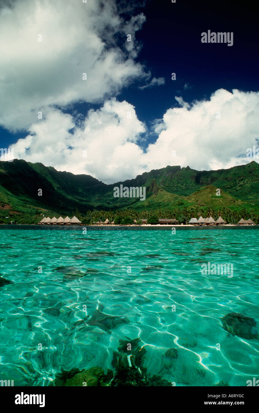 Clear Blue waters of Moorea French Polynesia Stock Photo - Alamy