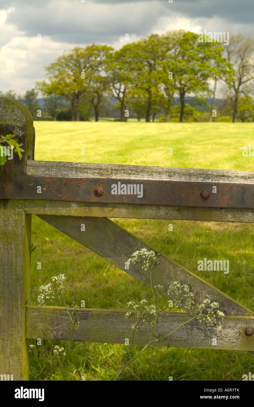 field and gate Stock Photo - Alamy