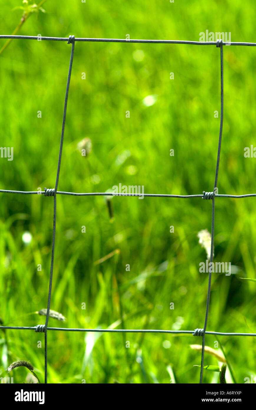 Green wire security fence hi-res stock photography and images - Alamy