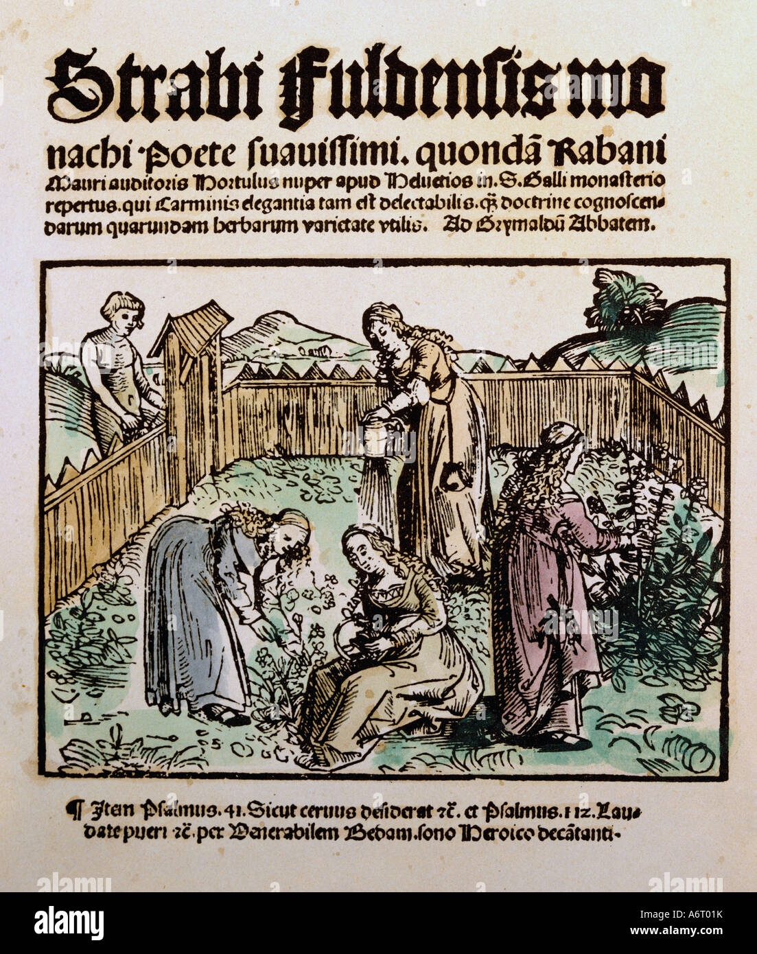 Strabo garden hi-res stock photography and images - Alamy