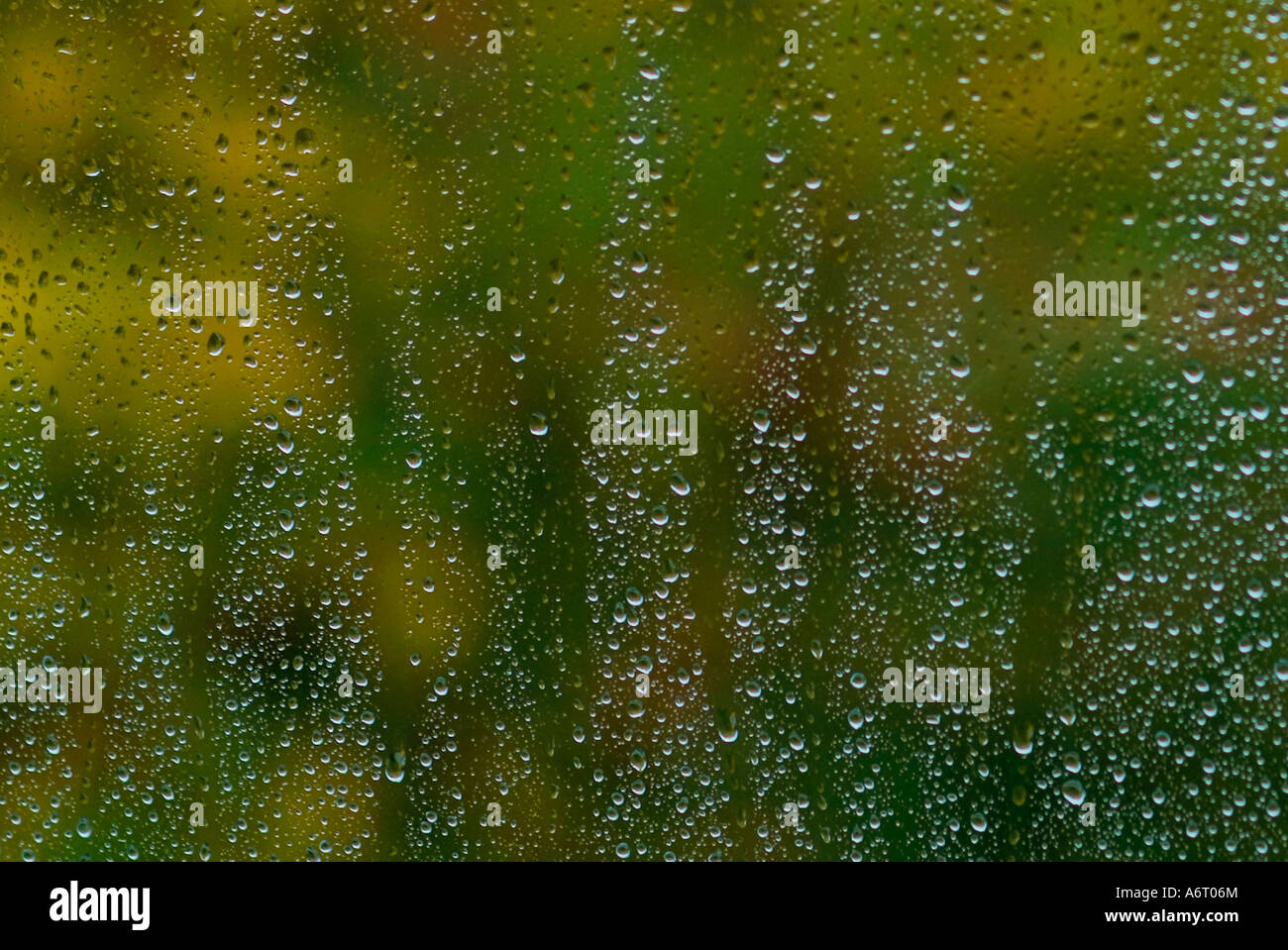 raindrops on window pane Stock Photo - Alamy