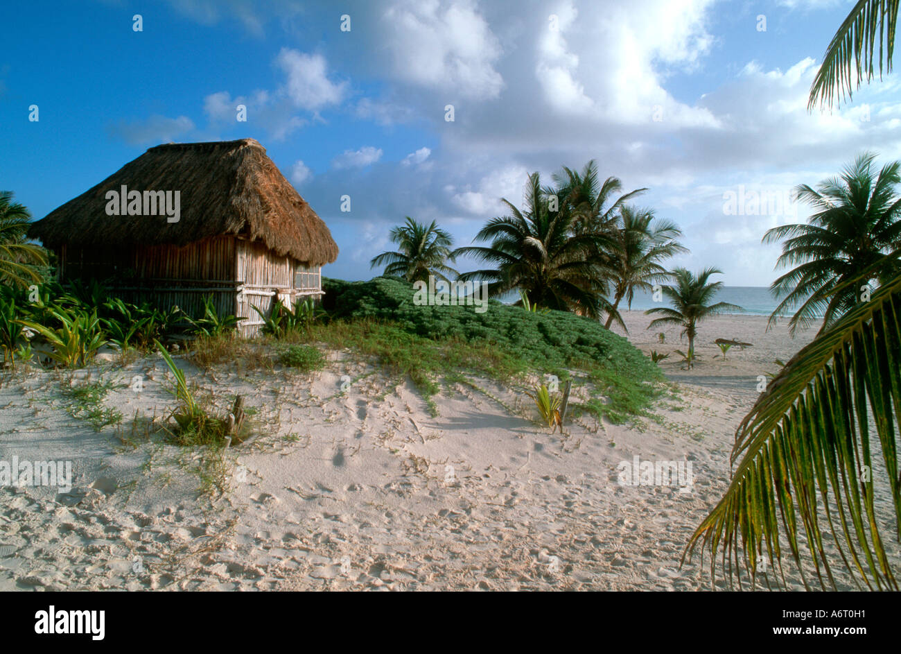 Beach hut Tulum Mexico Stock Photo - Alamy