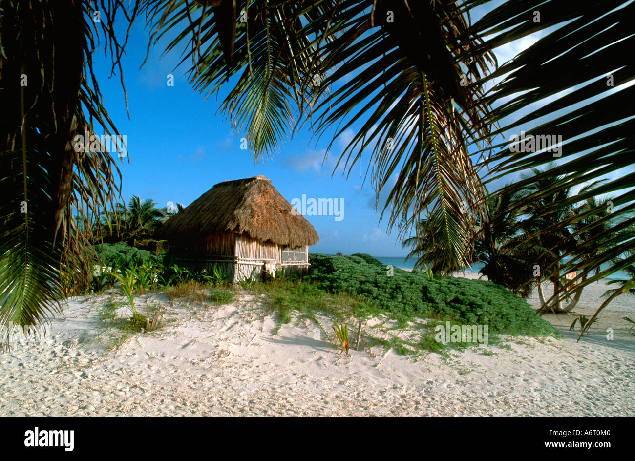 Beach hut Tulum Mexico Stock Photo - Alamy
