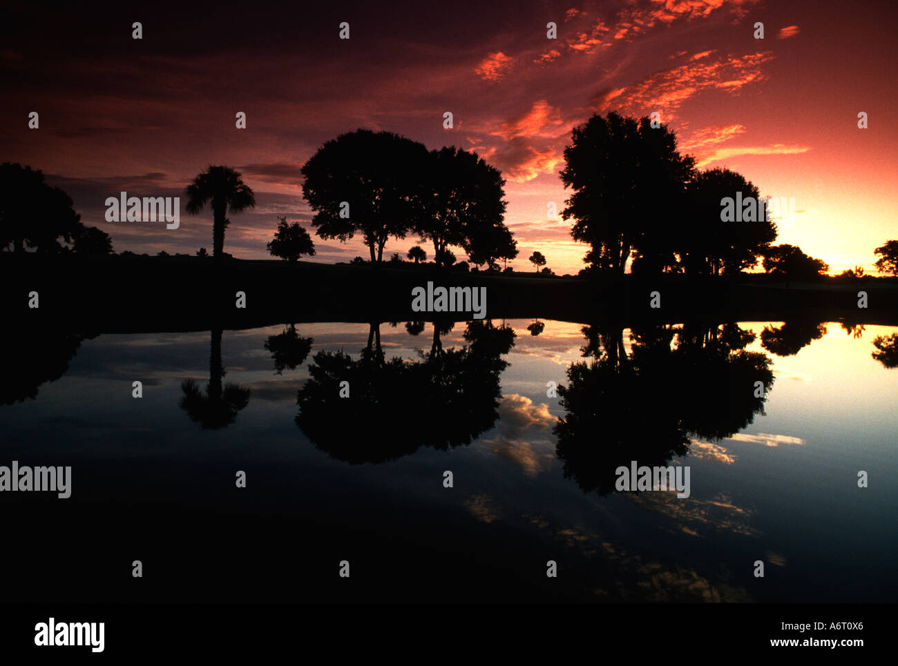 Florida Golf course sunset Stock Photo - Alamy